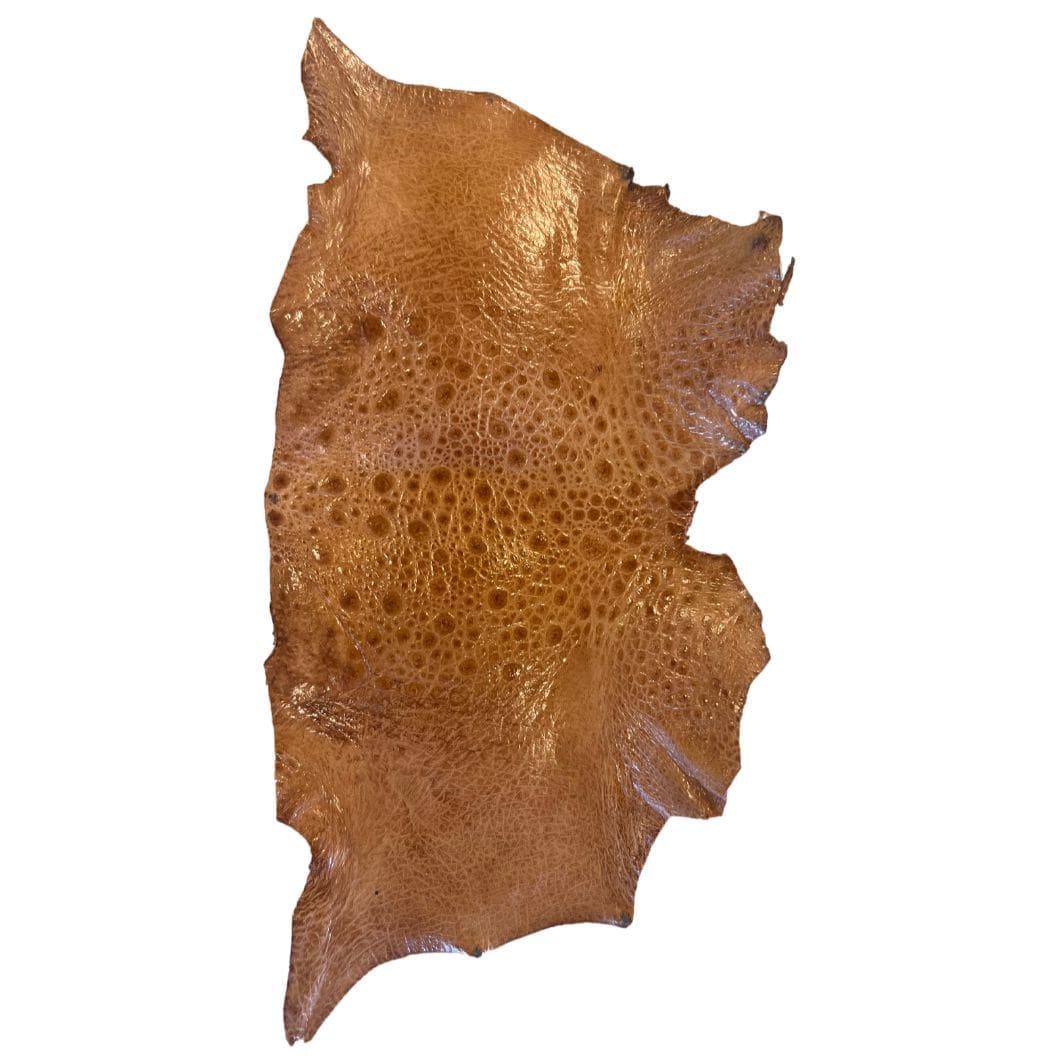 Cane Toad Skin - Simon Martin Whips & Leathercraft