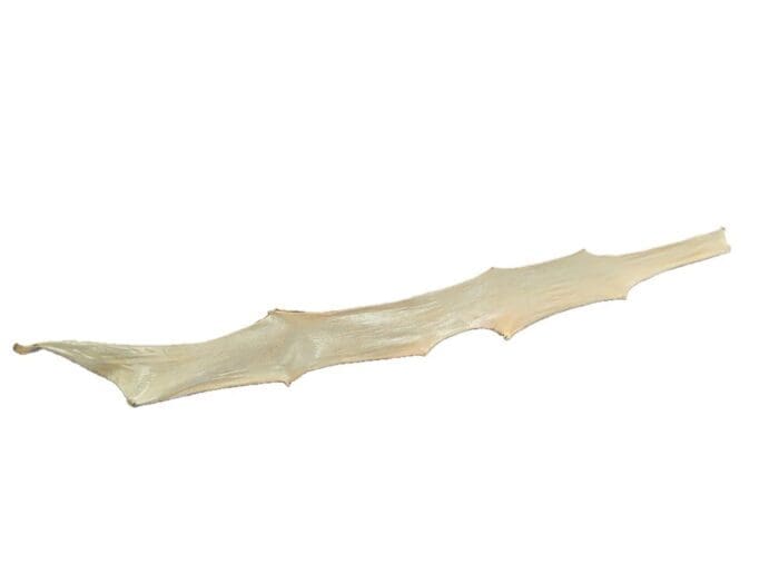 Shark Skin - Simon Martin Whips & Leathercraft