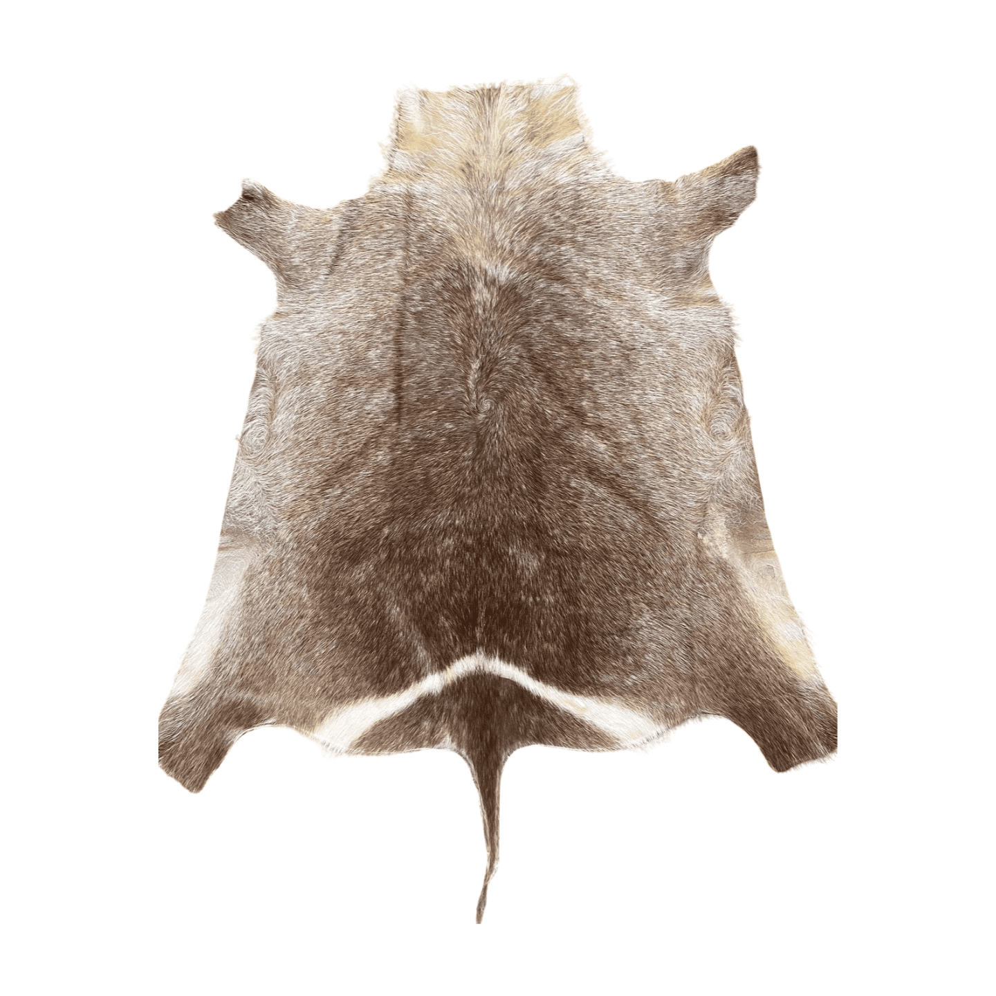 Waterbuck Fur Skin Floor Rug - Simon Martin Whips & Leathercraft